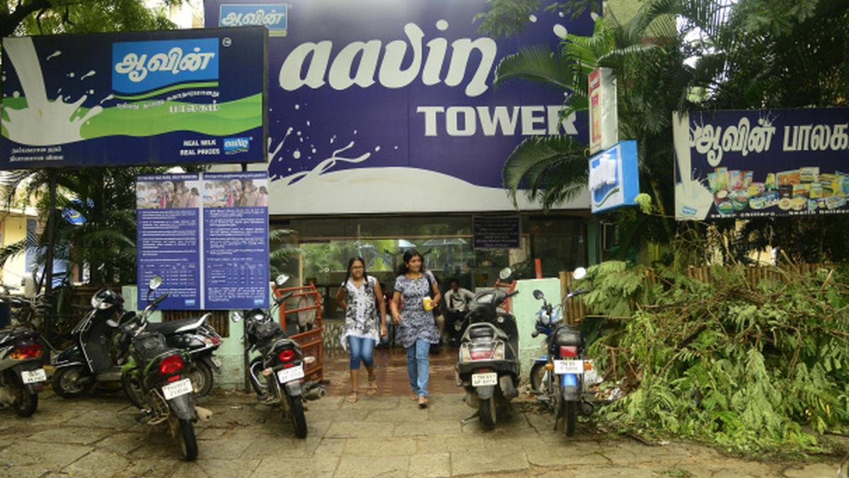 Aavin rebrands its icecream parlours - The Hindu