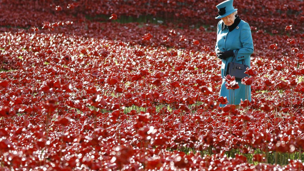 Tower of London poppy display draws huge crowds - The Hindu