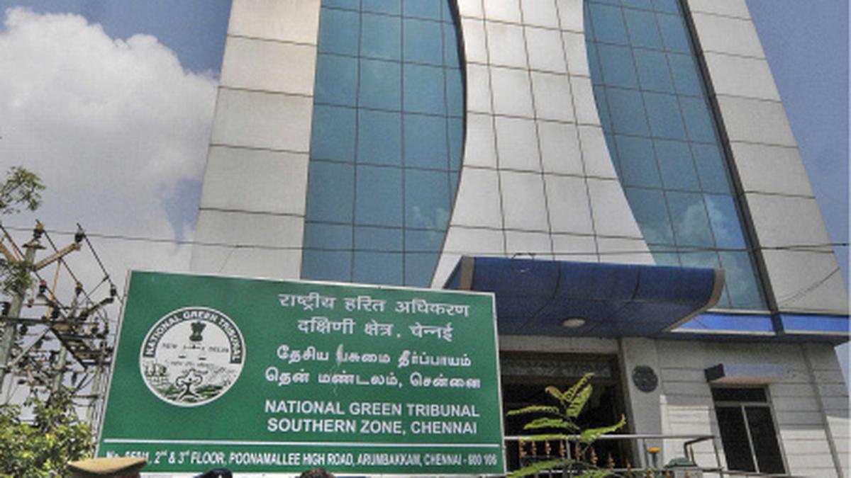 NGT Southern Bench starts functioning again - The Hindu