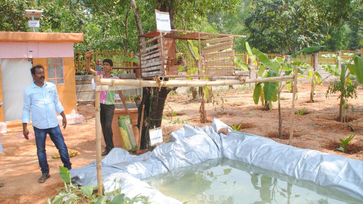 ‘Integrated farming is the way forward’ - The Hindu