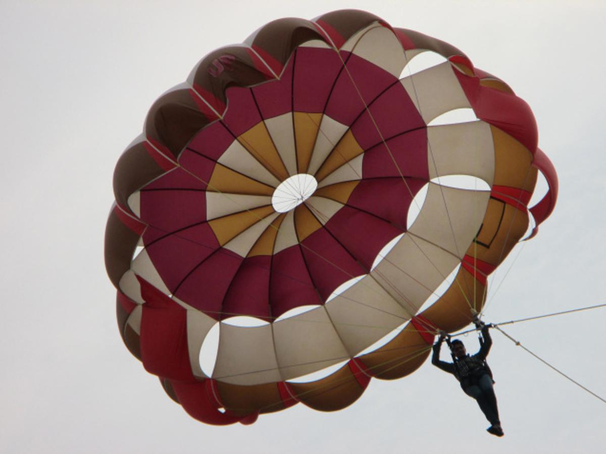 Colourful flight on blue sea - The Hindu