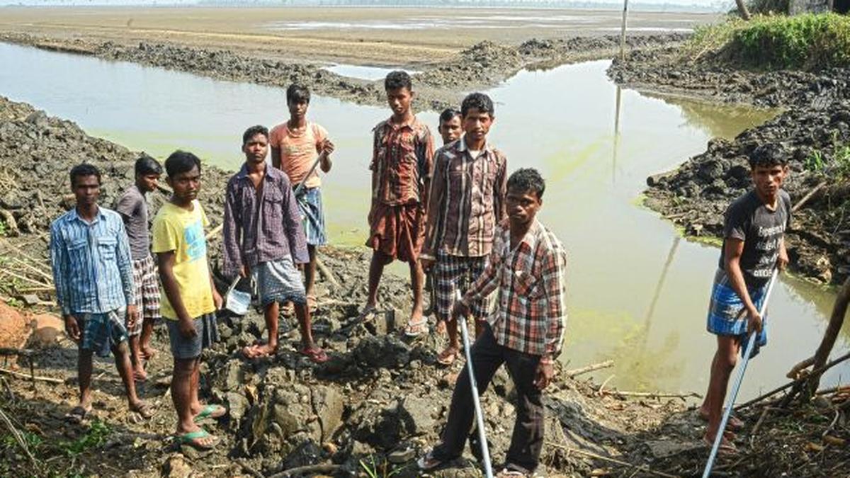 In Kuttanad, farmhands are migrant workers - The Hindu