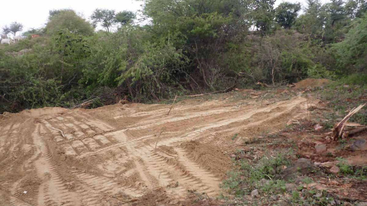 NGT orders status quo on road inside Mangar forest - The Hindu
