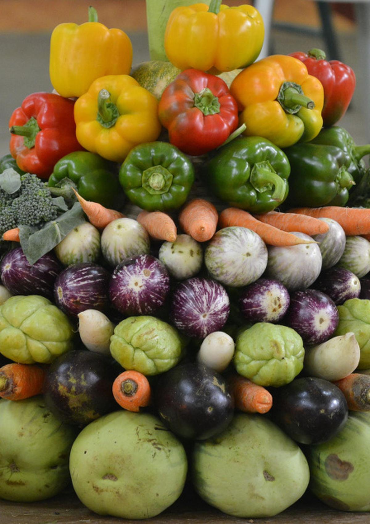 Organic Vegetable Fair 2014 - The Hindu