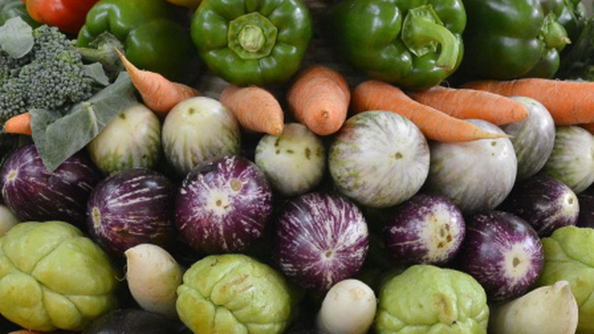 Organic Vegetable Fair 2014 - The Hindu