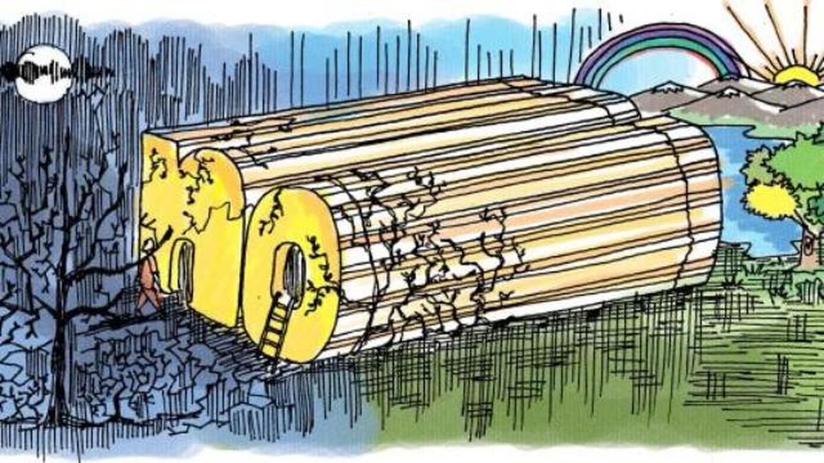 Snakes and ladders - The Hindu