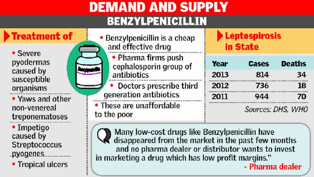 Leptospirosis drug in short supply in Kerala - The Hindu