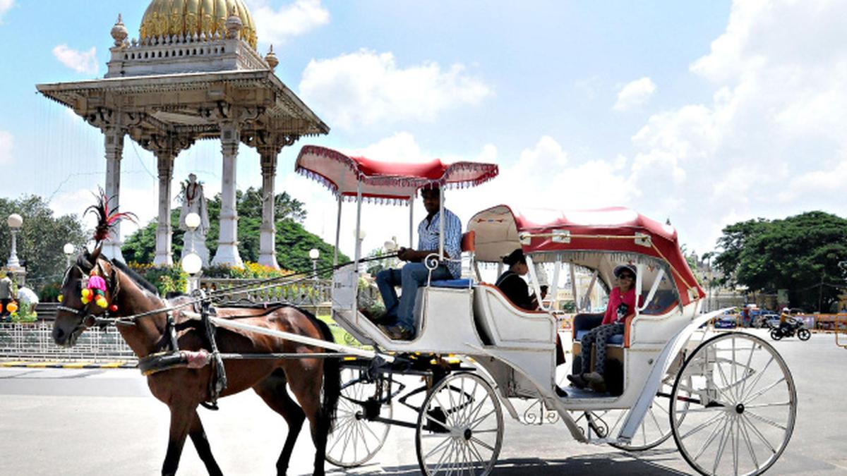 Tongas a hit among tourists in Mysore, but all is not well with its ...