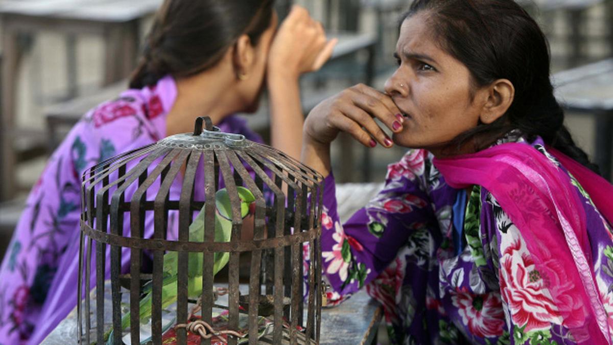 Modi, Jaitley warn Pakistan - The Hindu