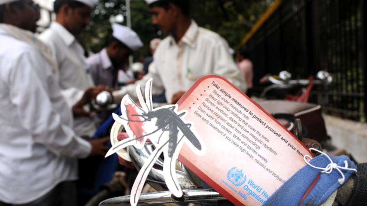 A multi-sectoral approach to dengue control - The Hindu