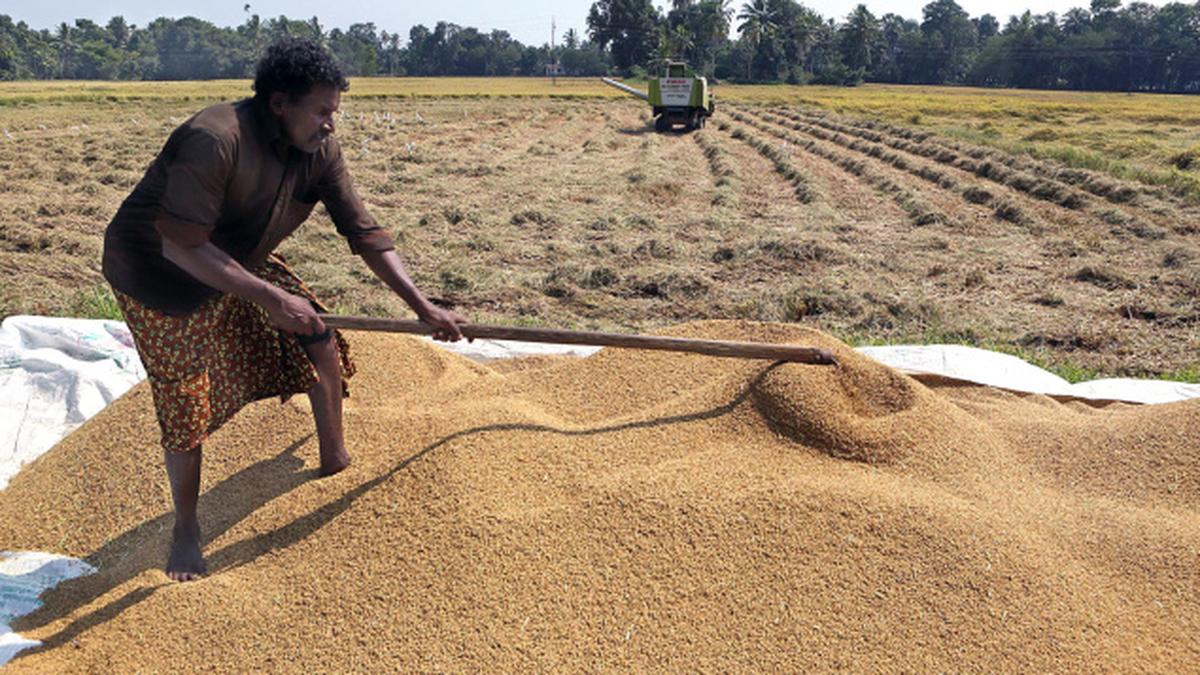 Kuttanad Package extended till 2016 - The Hindu