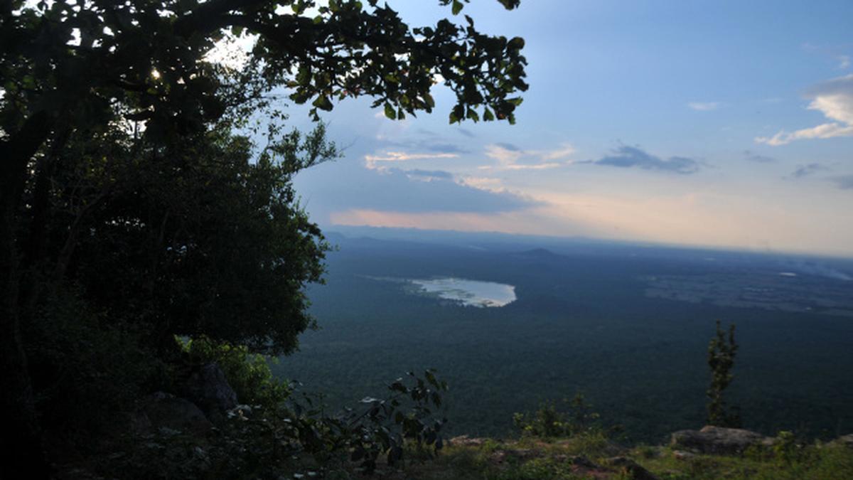 Nallamala forest, a delight for nature lovers - The Hindu