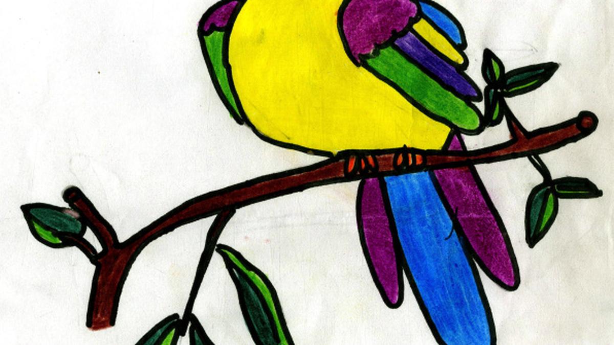 Drawings from India - The Hindu