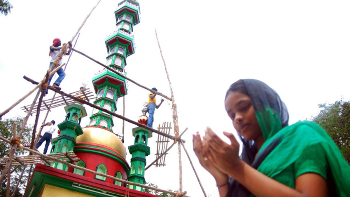 ‘Rottela Panduga’ from Nov. 4 in Nellore - The Hindu