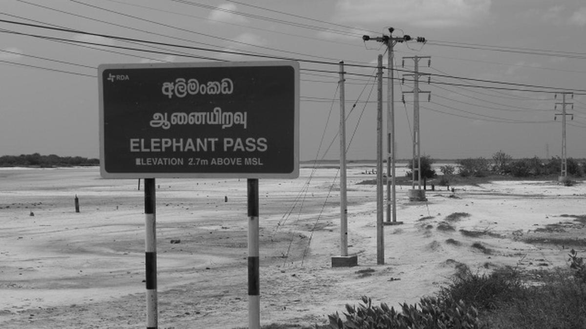 Just a few days in Jaffna - The Hindu