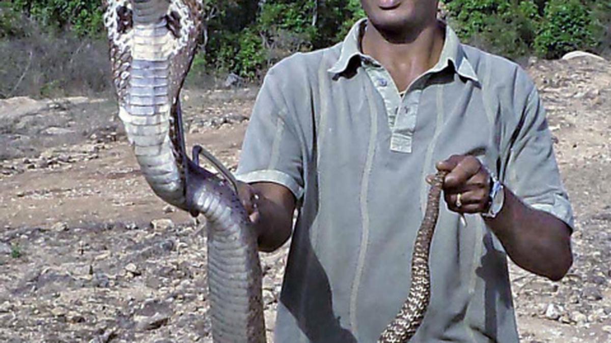 He is adept at handling both snakes and a tambura - The Hindu