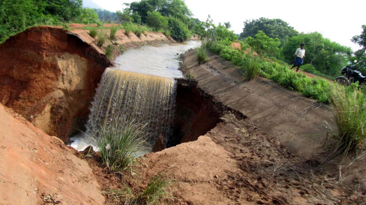 Taliperu right canal suffers major breach - The Hindu