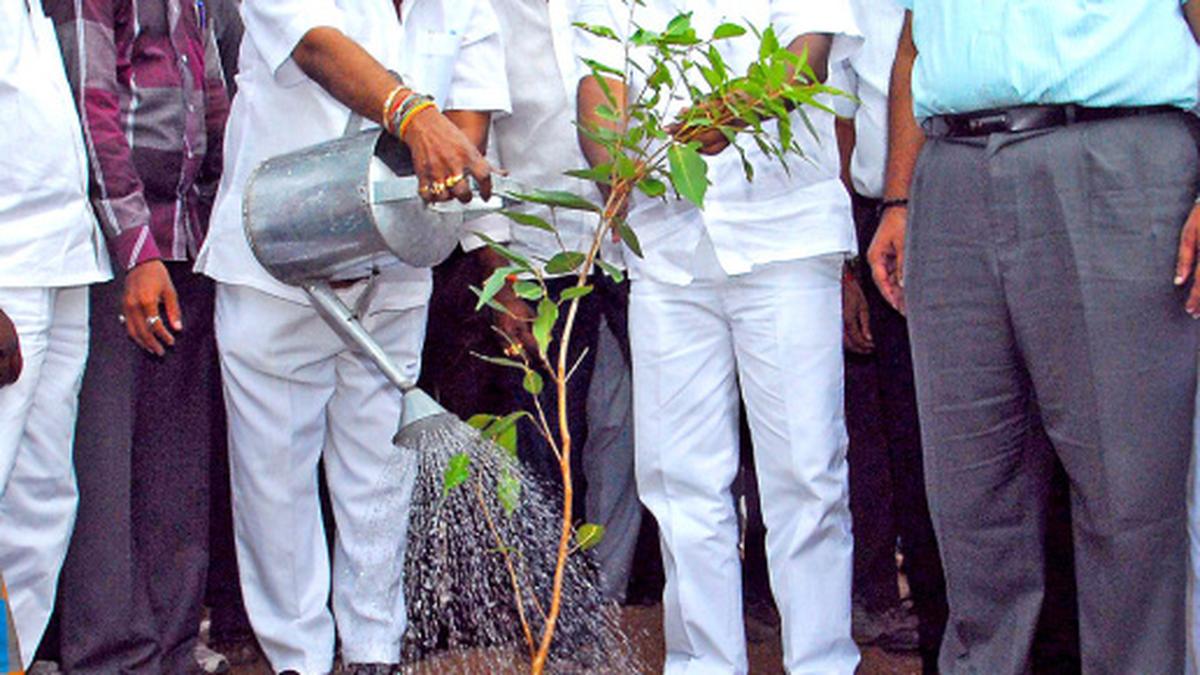 ‘Neeru Chettu’ launched across State - The Hindu