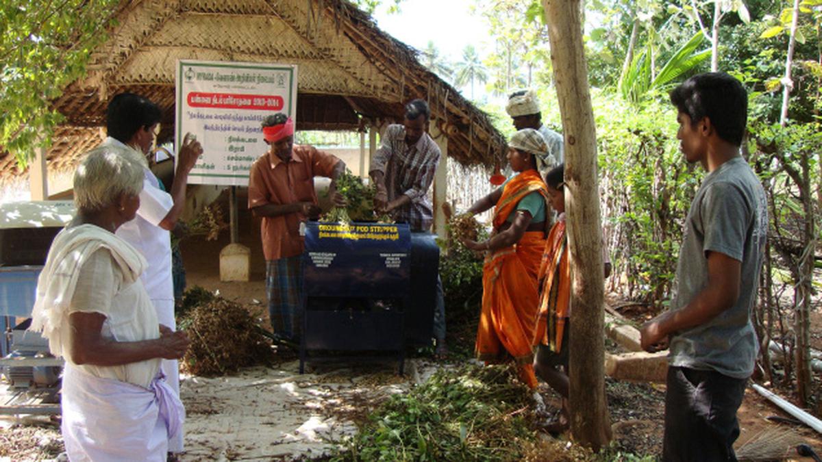 A lightweight, efficient groundnut pod removing machine - The Hindu