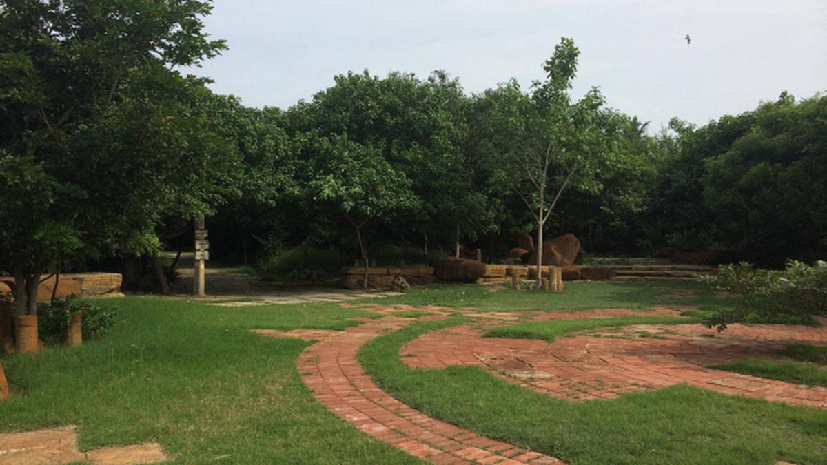 Up close with nature in the heart of Chennai - The Hindu