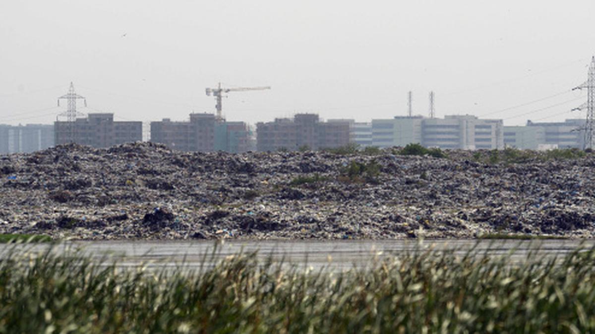 Dumping yards to get green cover - The Hindu