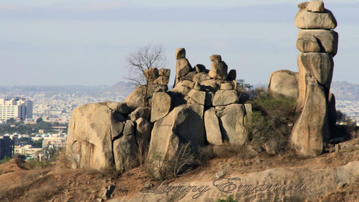 Living with rocks in Hyderabad - The Hindu