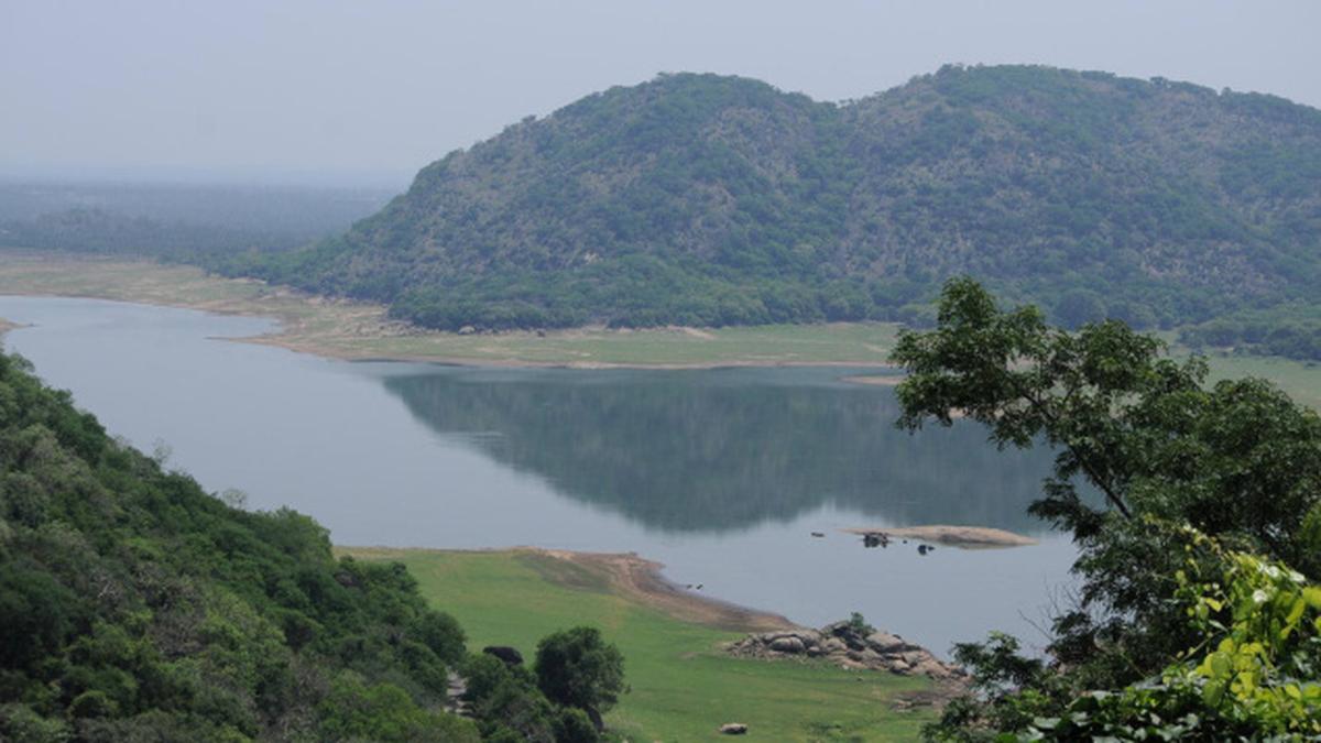 Taking Pollachi to the people - The Hindu