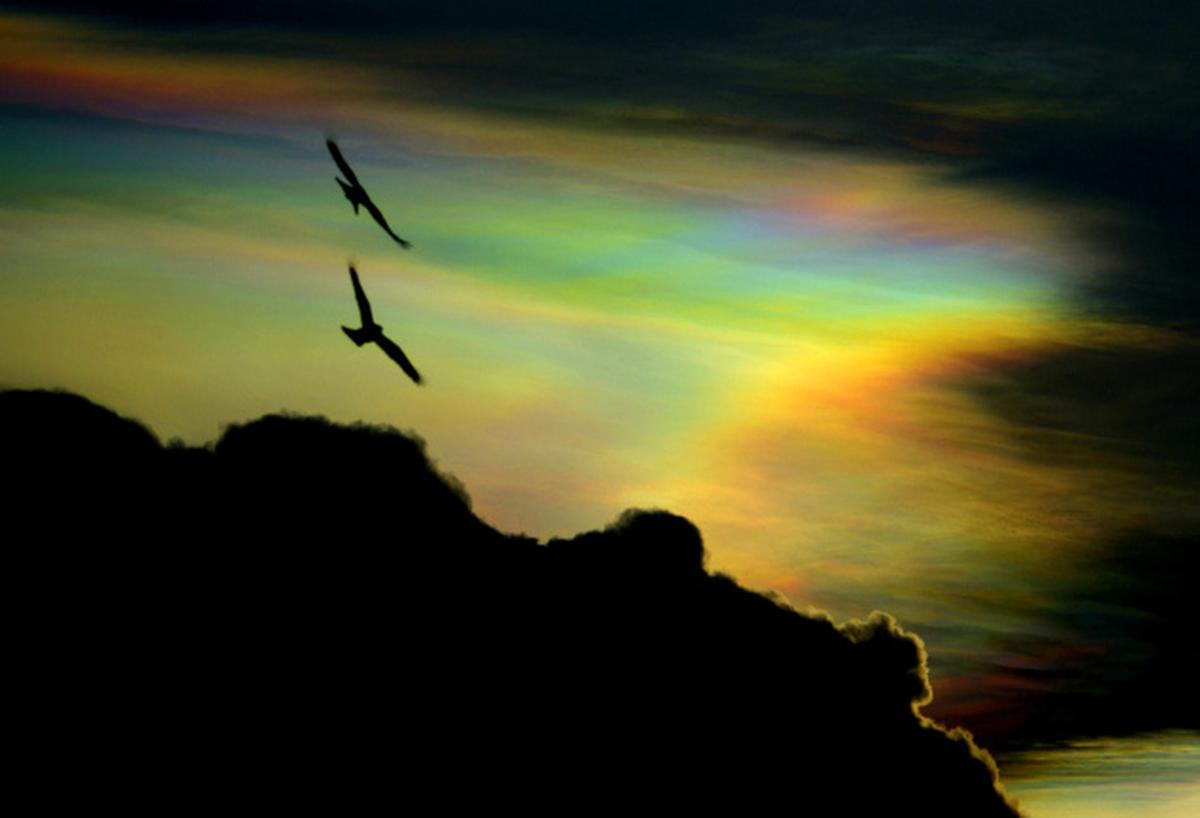 Monsoon: Nature in all its hues - The Hindu