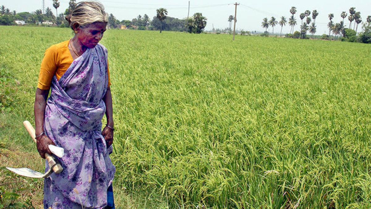 Ponneri all set to become smart city - The Hindu