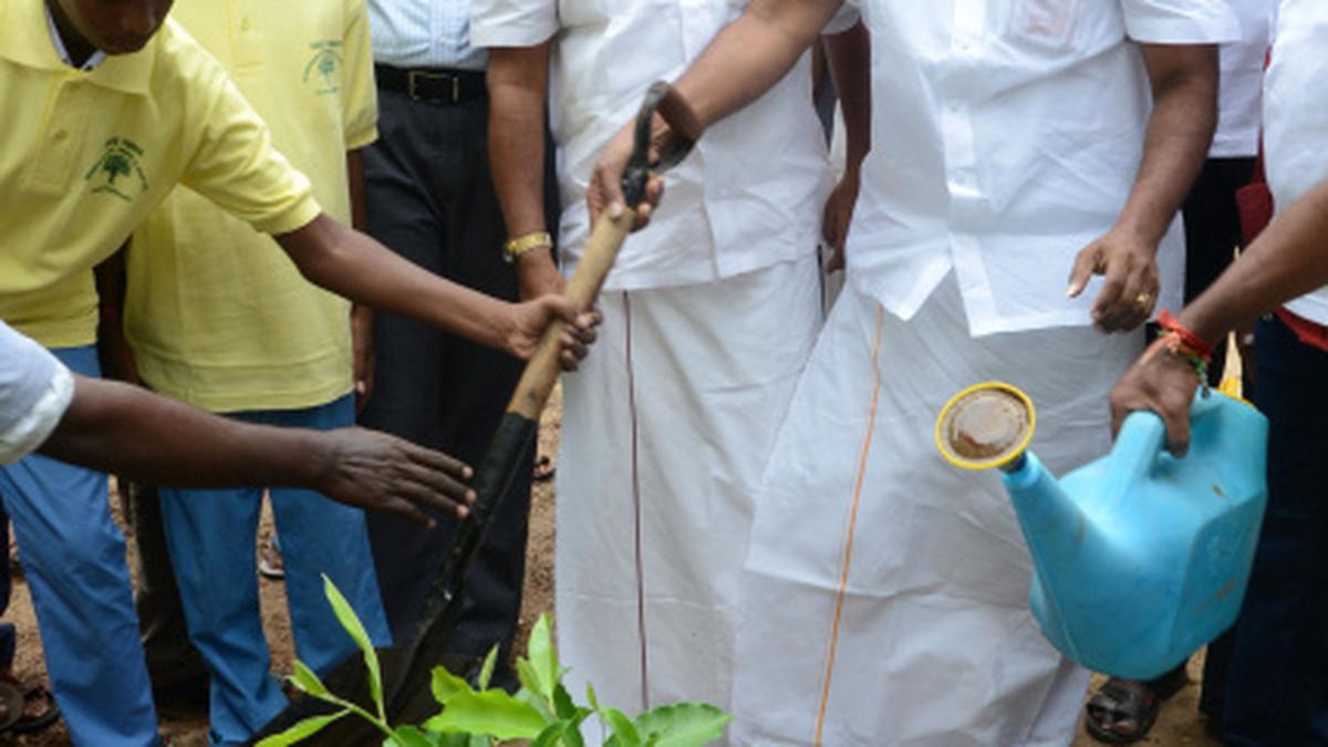 ‘Vanamahotsava’ for retrieving greenery - The Hindu