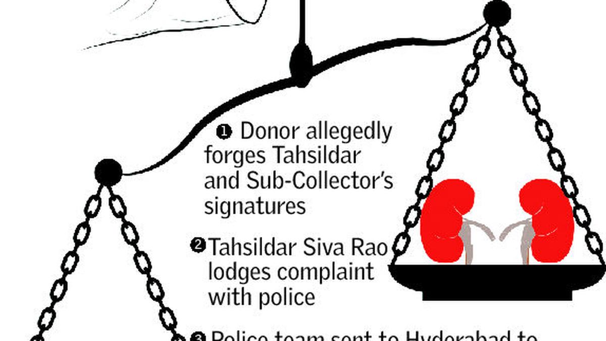Kidney selling racket busted - The Hindu
