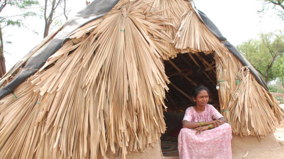 Chenchus in dire need of a home - The Hindu