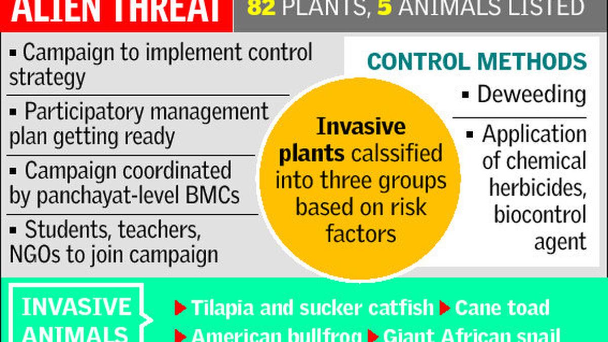 KSBB declares war on invasive species - The Hindu