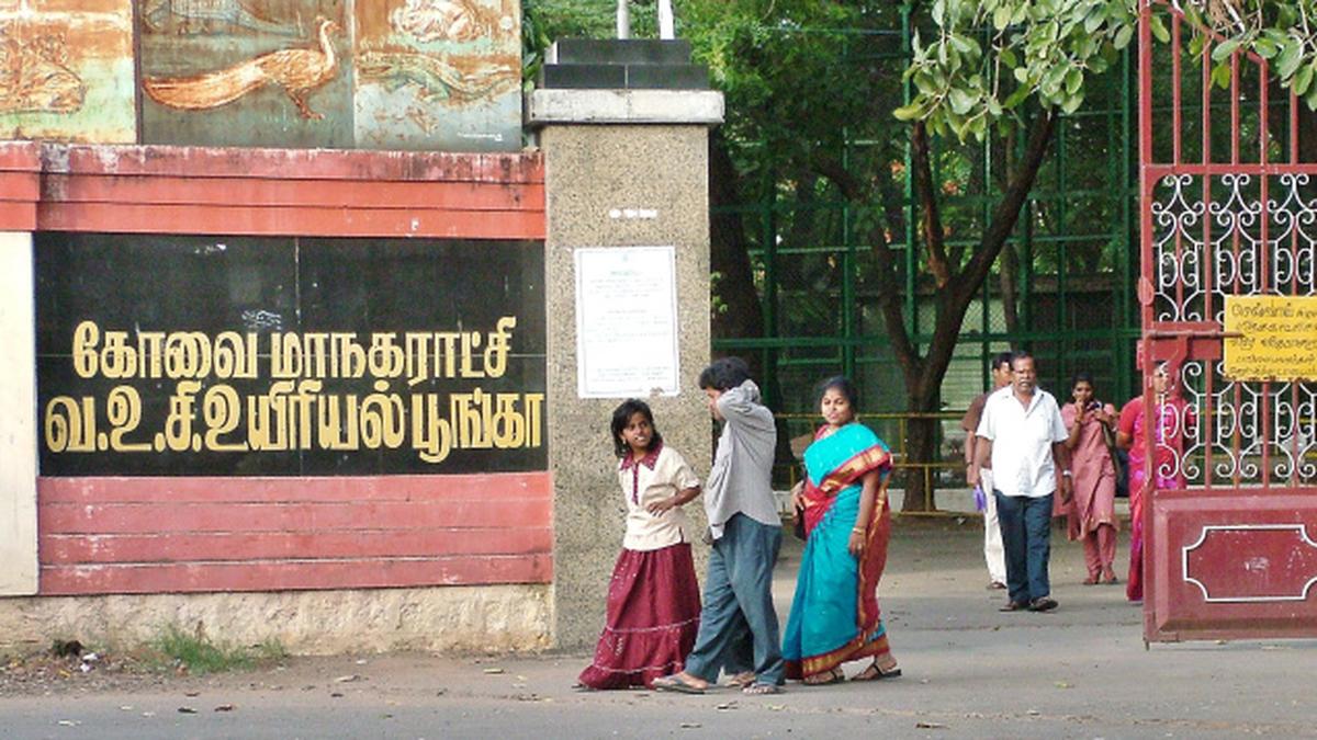 Zoo animal adoption programme in Coimbatore draws a blank - The Hindu