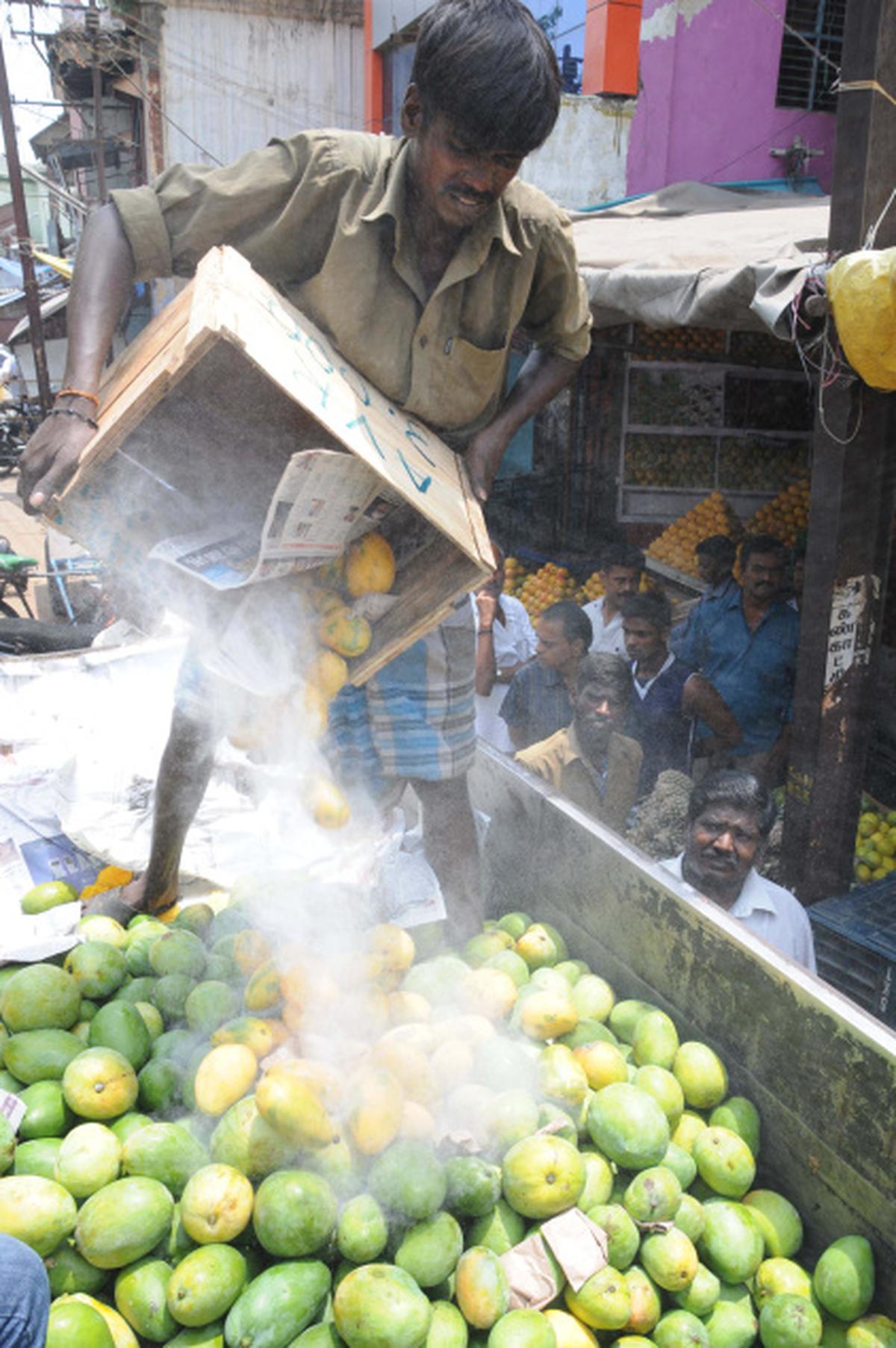 Five tonnes of mangoes seized in crackdown on chemical ripening - The Hindu