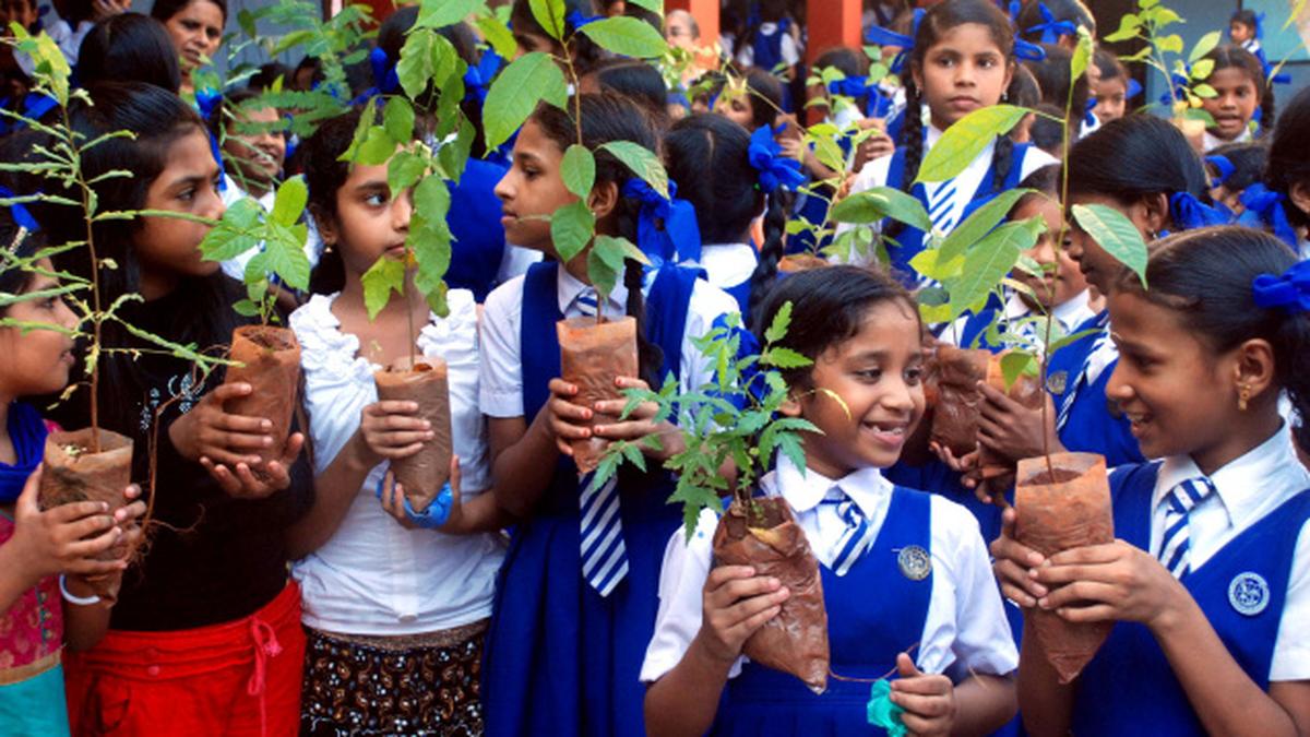 Kozhikode on a sapling planting drive - The Hindu