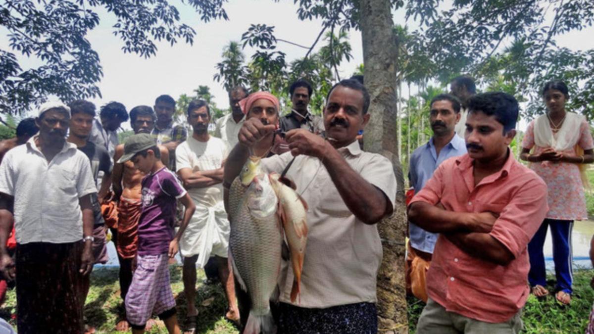 Fishing for a better future - The Hindu