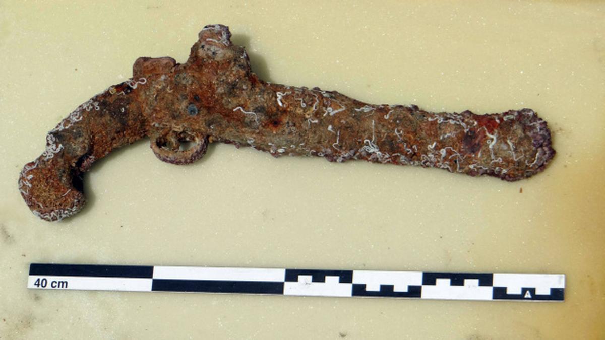 Arms used by Napoleon’s army found - The Hindu