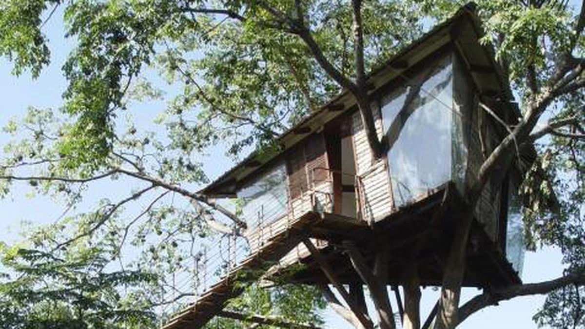 Timber house - The Hindu