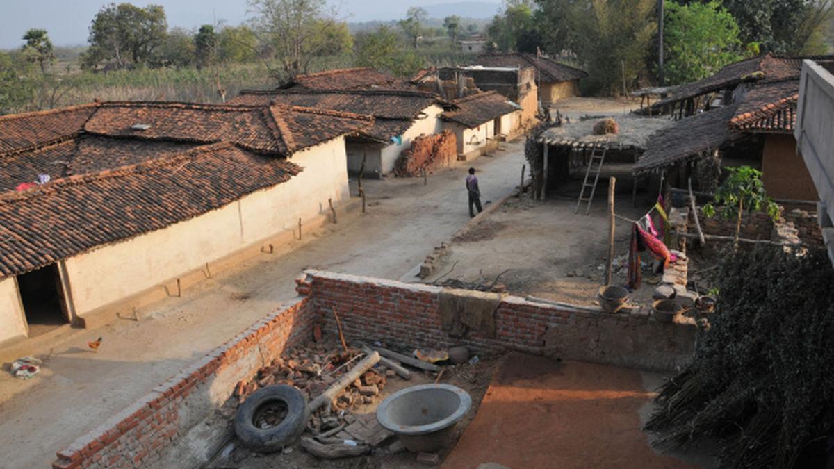 They live like ghosts in a jungle - The Hindu