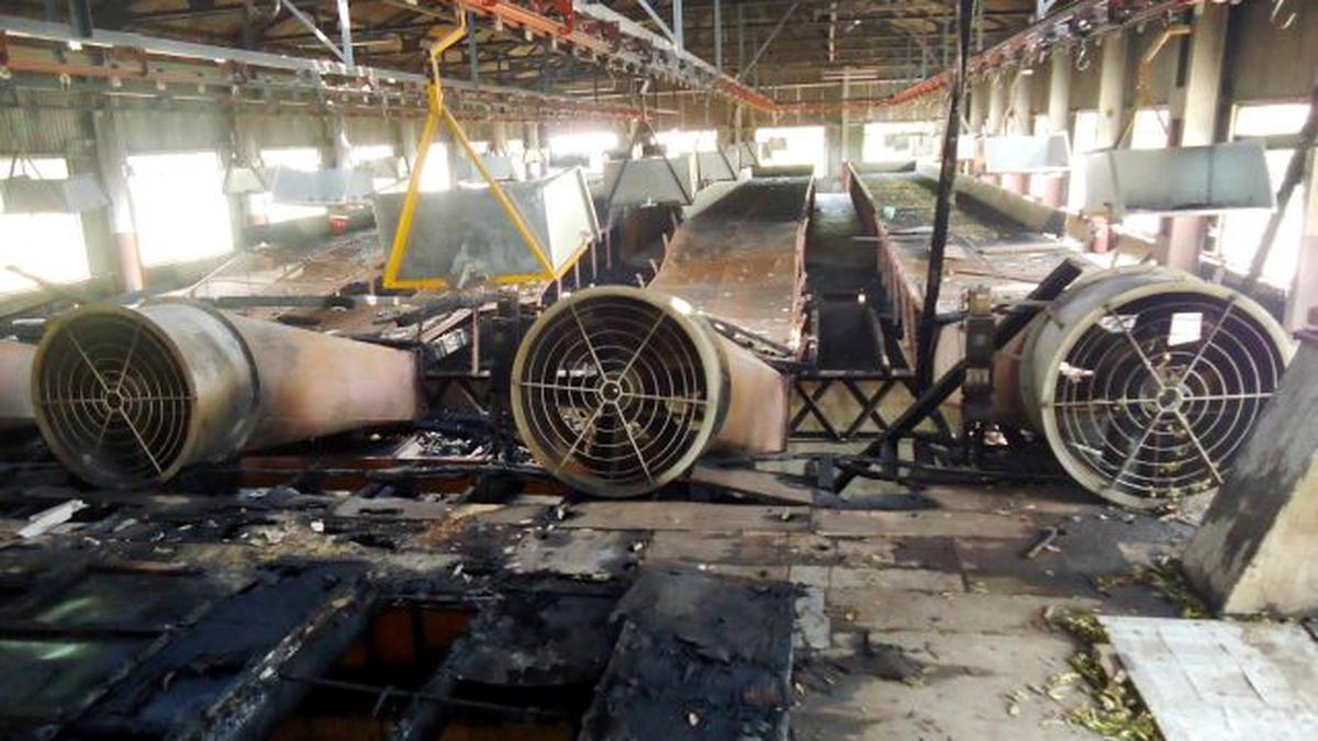 Fire damages tea factory at Kinnakorai - The Hindu