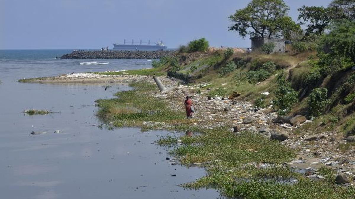 Cleansing of Cooum to commence in a month’s time - The Hindu
