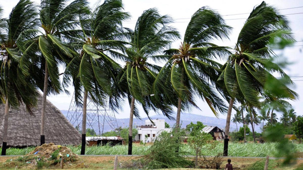 Kerala govt. order promises to juice up neera biz - The Hindu