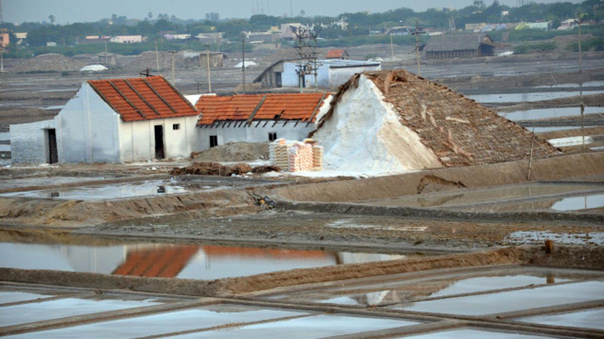 Salt production dips in Tuticorin - The Hindu