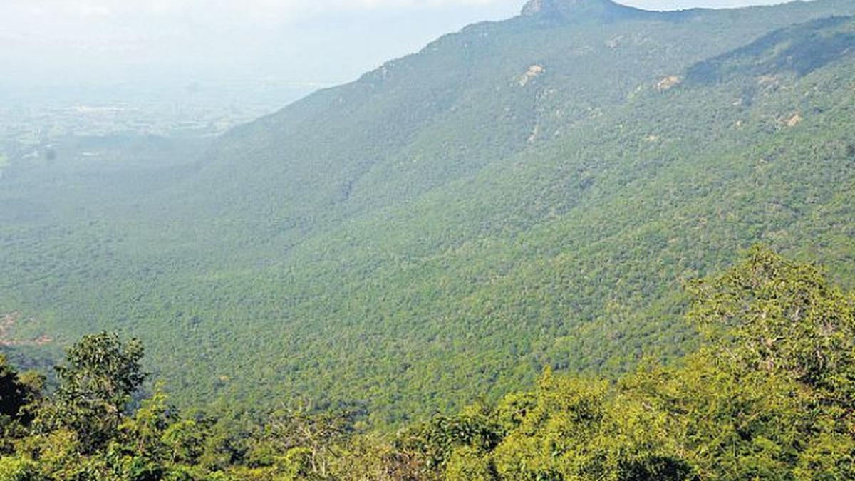 NABARD launches tribal project in Pachamalai hills - The Hindu