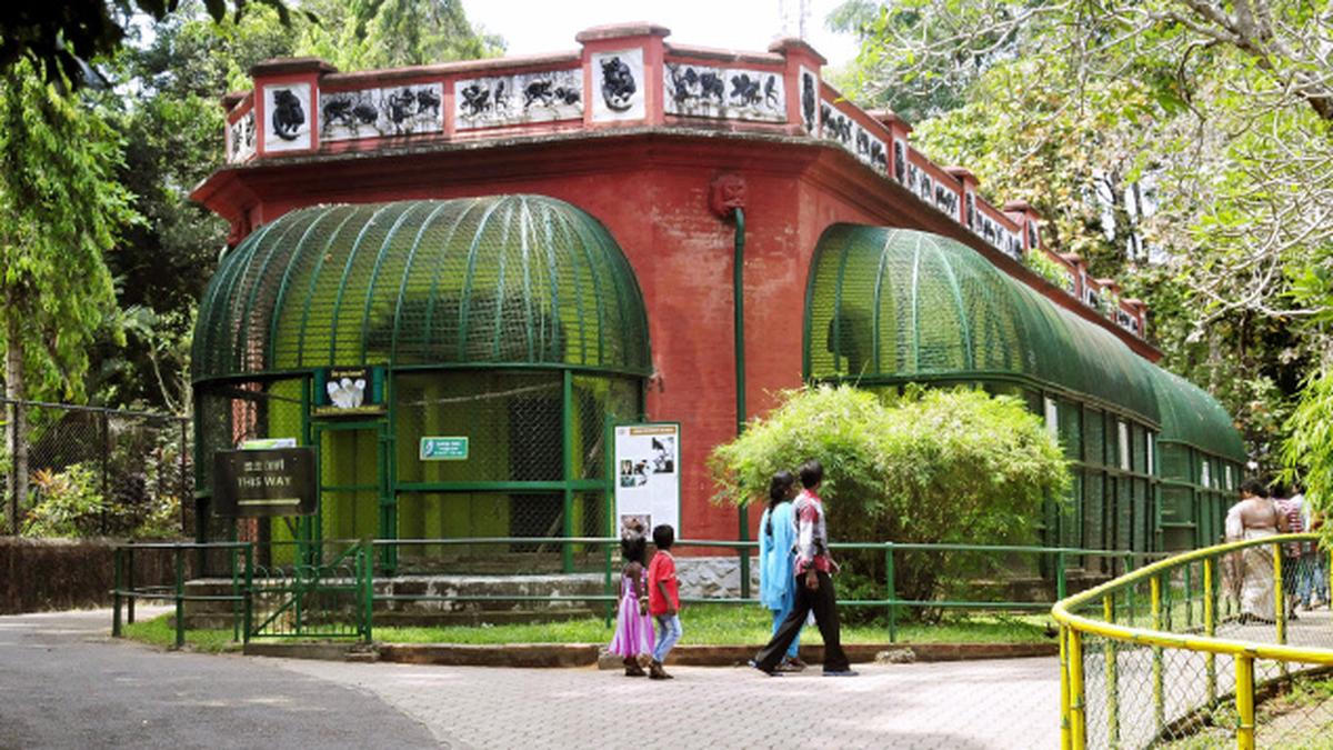 Building a popular, animal-friendly zoo - The Hindu