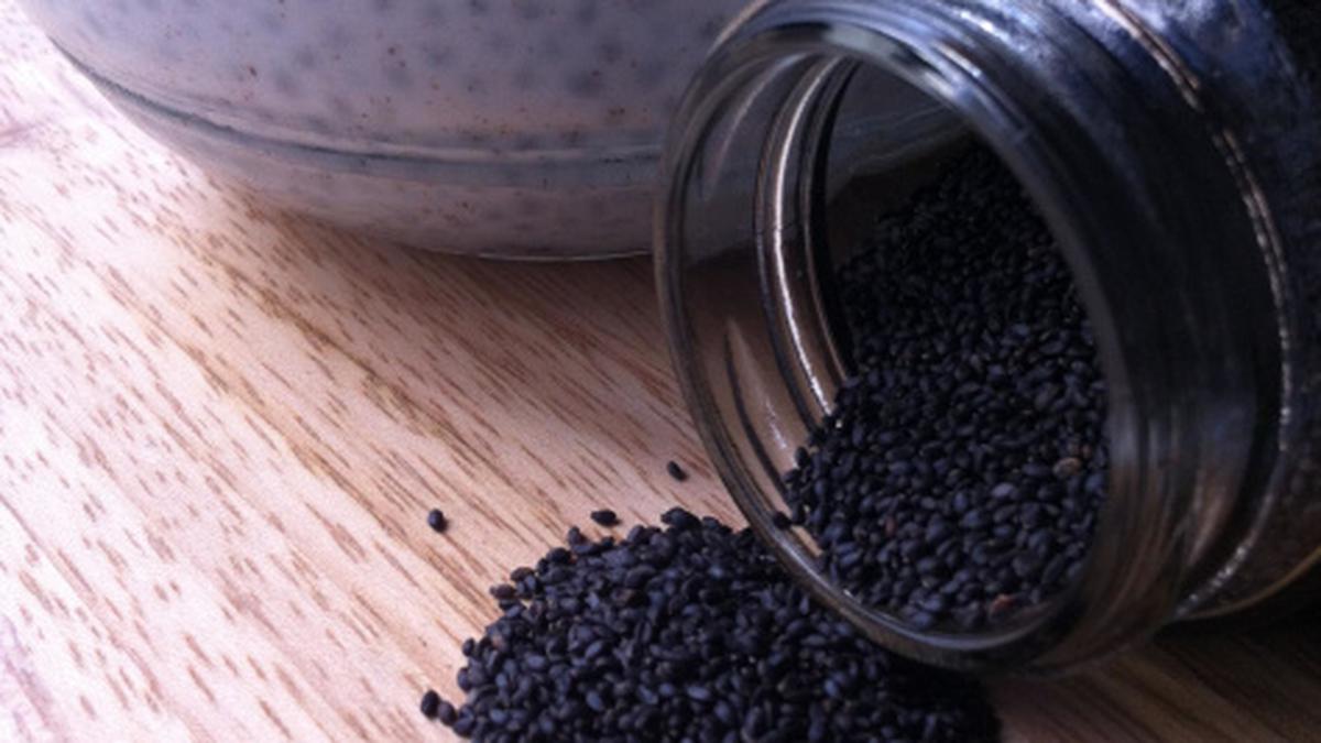 Going to seed - The Hindu