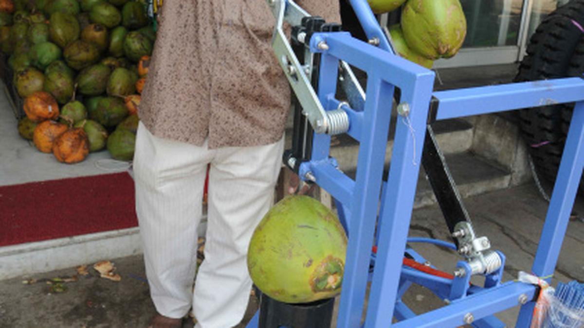 Cracking the nut and how - The Hindu