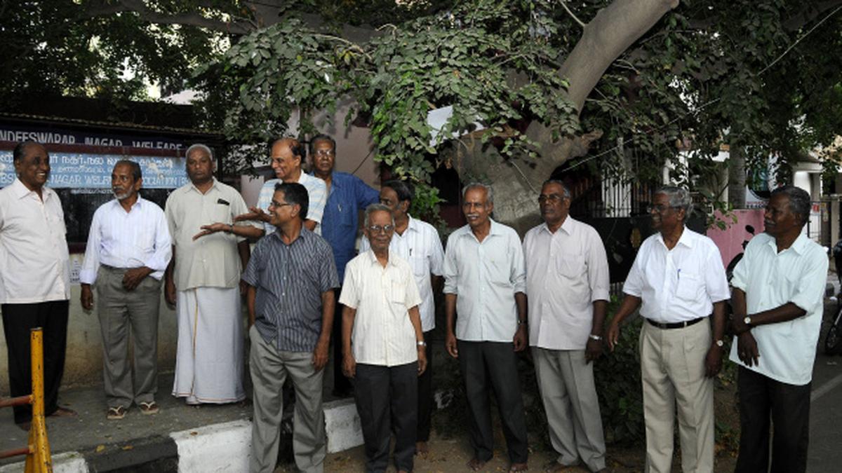 Turnaround of Velachery - The Hindu