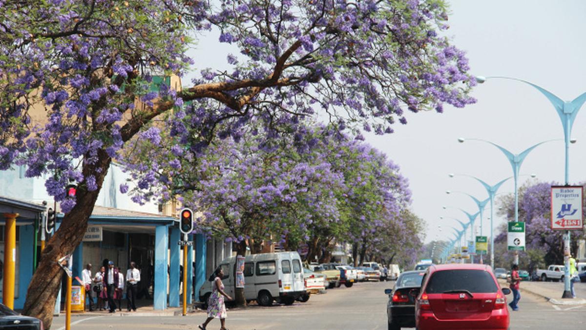 A day in the life of Bulawayo - The Hindu